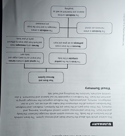 Solved: SUMMARY This science article tells about the human brain and ...