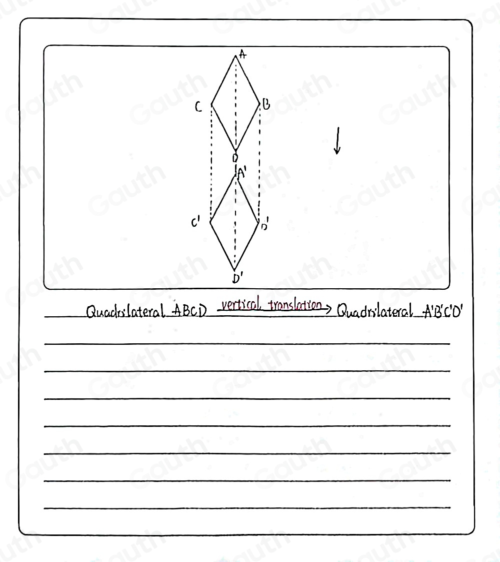 Solved: Use the image to determine the type of transformation shown ...