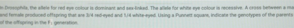 Solved: In Drosophila, the allele for red eye colour is dominant and ...