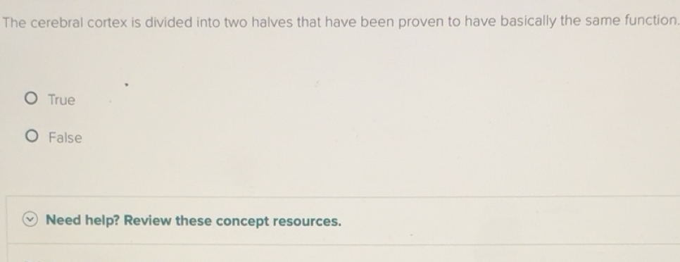 Solved: The cerebral cortex is divided into two halves that have been ...