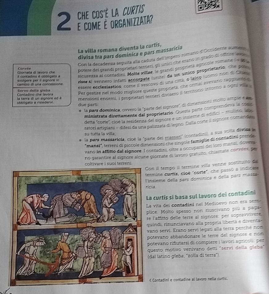Risolto:PE COsE LA CURTiS E COME È ORGANIZZATA? La villa romana diventa ...