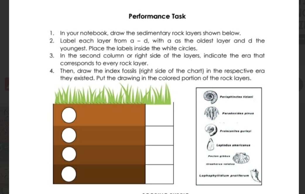 Solved: Performance Task 1. In your notebook, draw the sedimentary rock ...