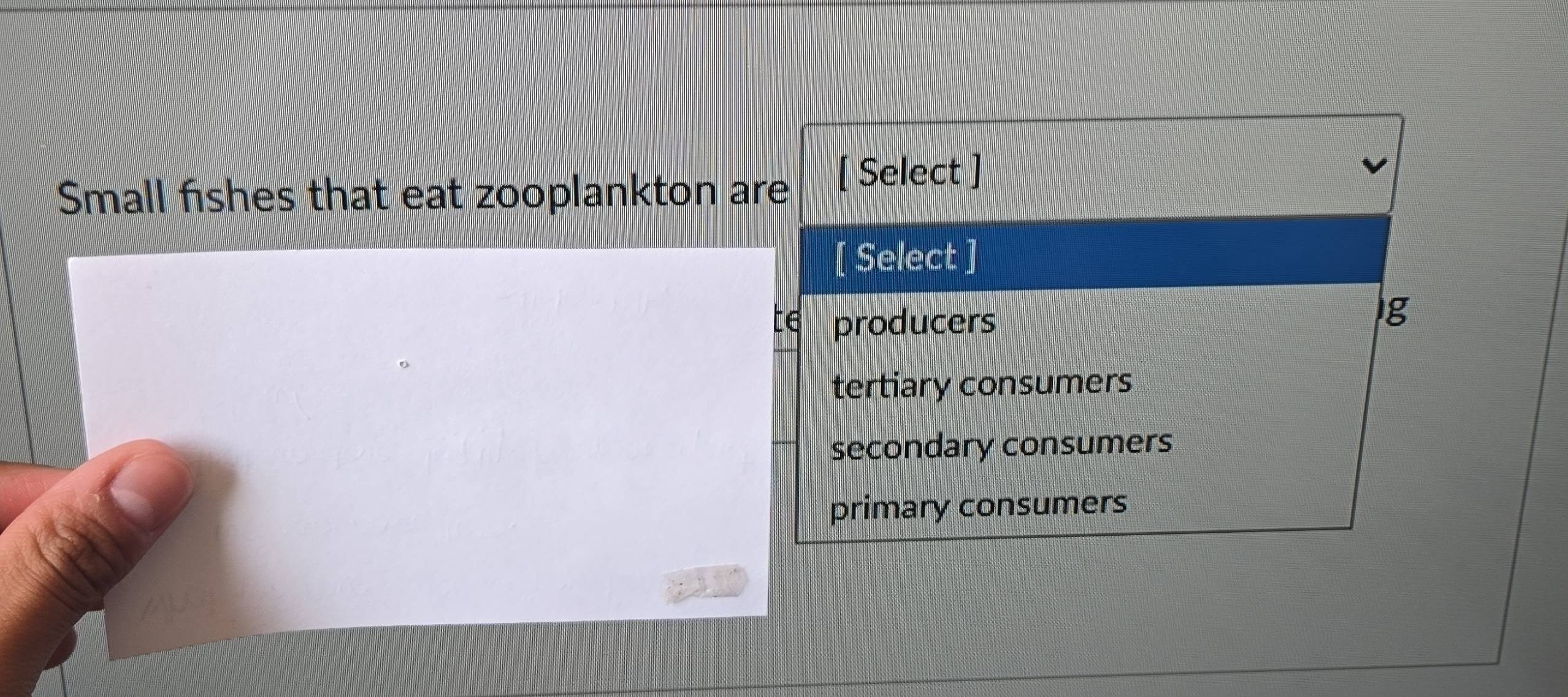 Solved: Small fishes that eat zooplankton are [ Select ] [ Select ] te ...