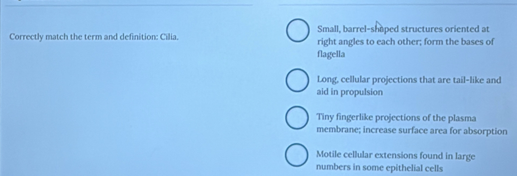 Solved: Small, barrel-shaped structures oriented at Correctly match the ...