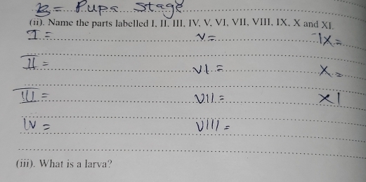 Solved: (ii). Name the parts labelled I, II. III. IV, V, VI, VII, VIII ...