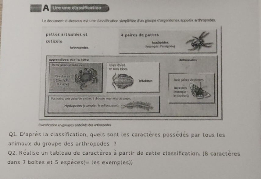 Résolu :A Lire une classification Le document ci-dessous est une ...