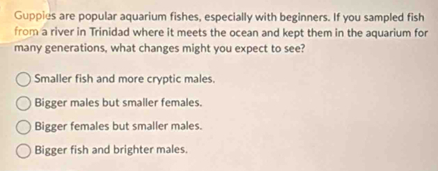 Solved: Guppies are popular aquarium fishes, especially with beginners ...