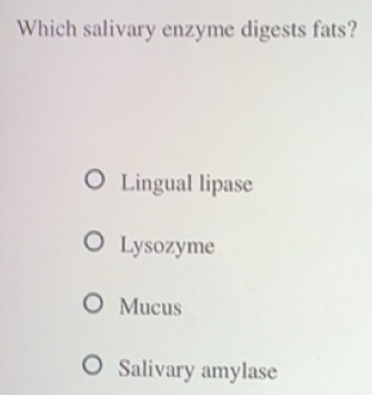 Solved: Which salivary enzyme digests fats? Lingual lipase Lysozyme ...