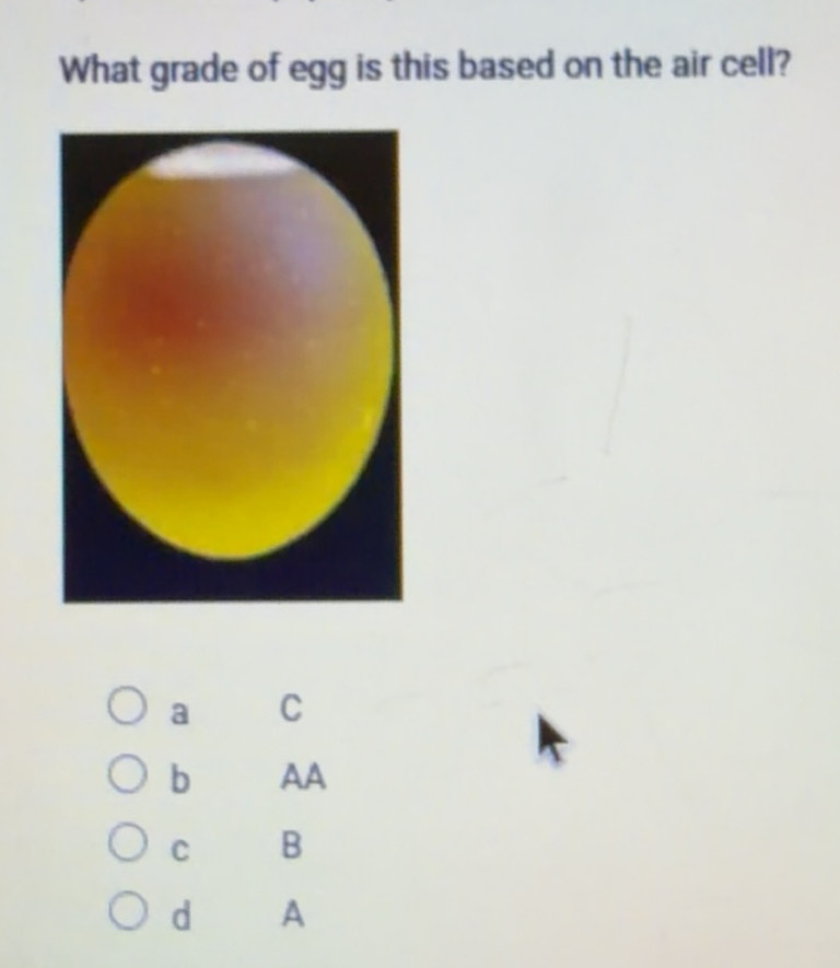 Gelöst:What grade of egg is this based on the air cell? a C b AA C B d A