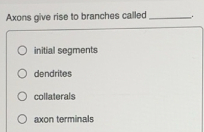Solved: Axons give rise to branches called _. initial segments ...