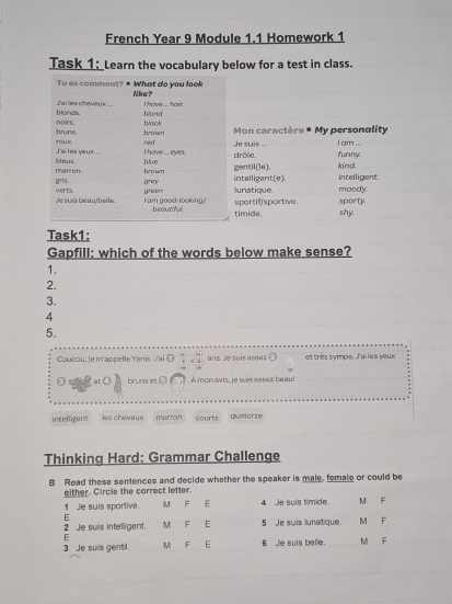 Solved: French Year 9 Module 1.1 Homework 1 Task 1: Learn the ...