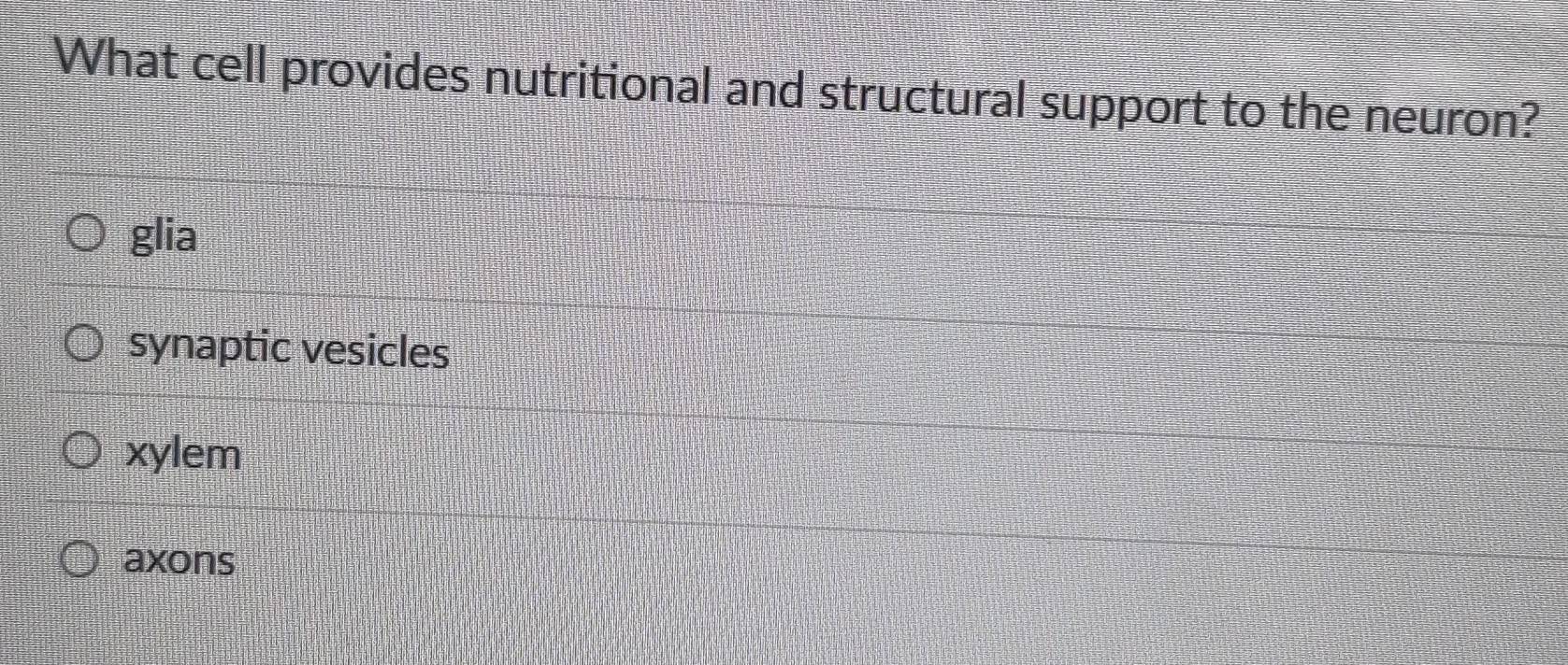 Solved: What cell provides nutritional and structural support to the ...