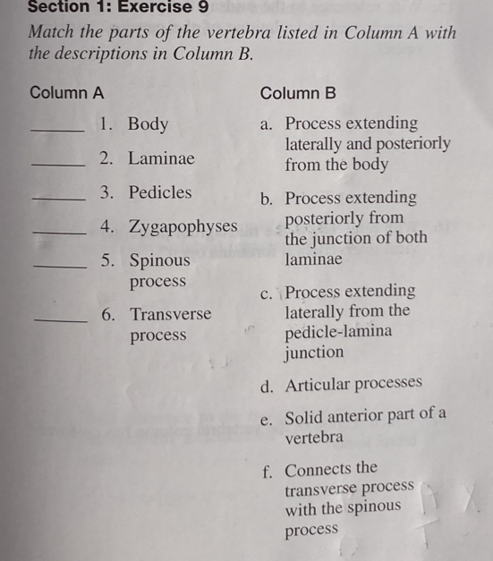 Solved: Match the parts of the vertebra listed in Column A with the ...