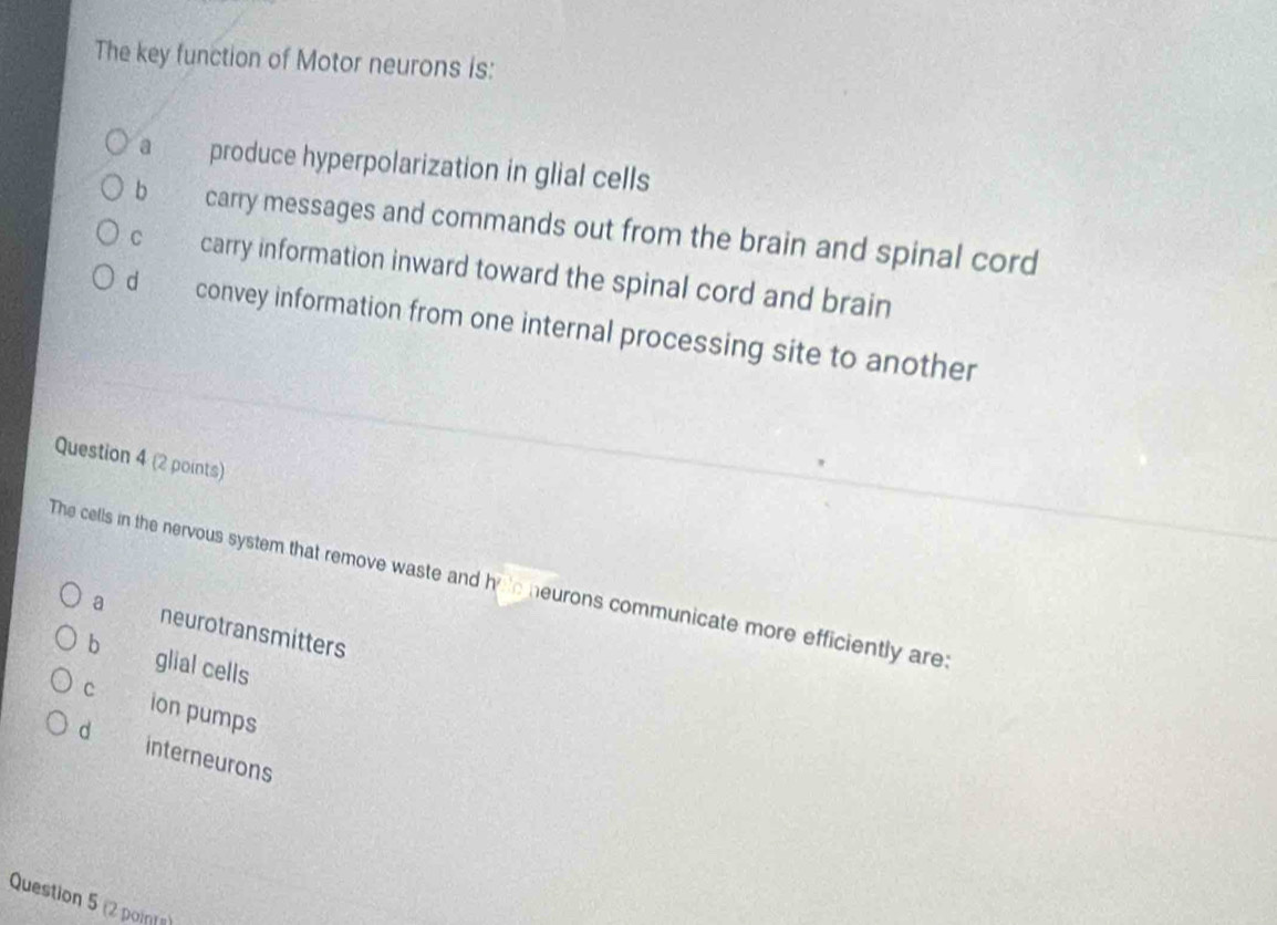 Solved: The key function of Motor neurons is: a produce ...