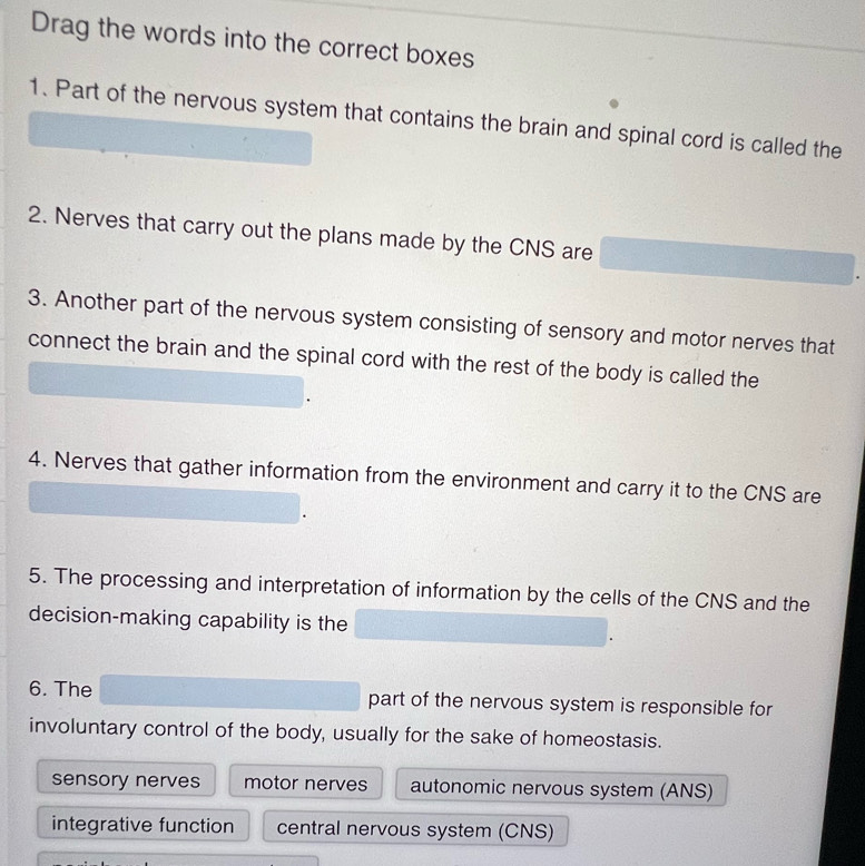 Solved: Drag the words into the correct boxes 1. Part of the nervous ...