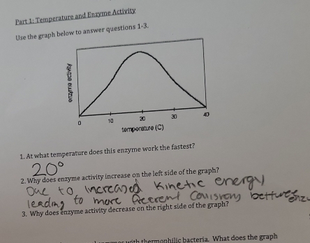Solved: Temperature and Enzyme Activity Use the graph below to answer ...