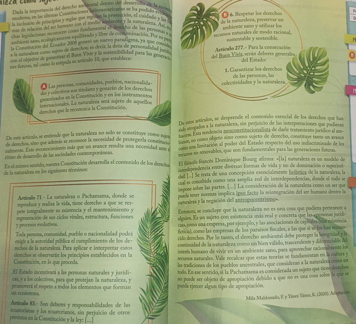 Resuelto:Dada la importancia del derecho ambiental dentro del ...
