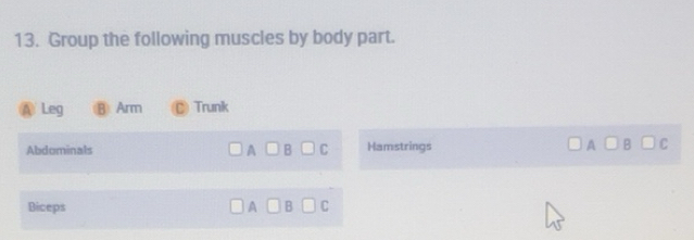 Solved: Group the following muscles by body part. A Leg ⑧ Arm Trunk ...