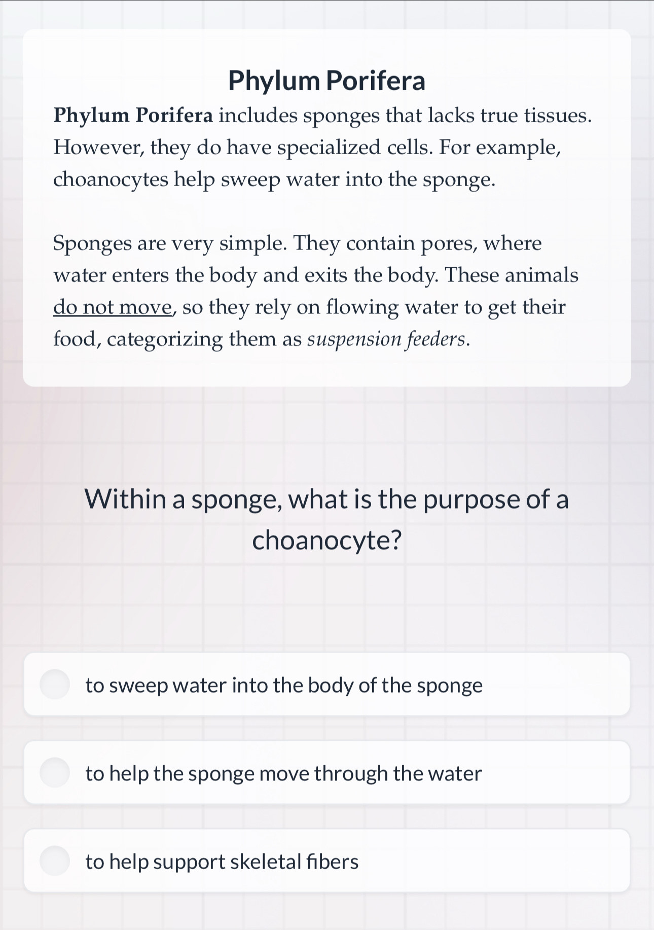 Solved: Phylum Porifera Phylum Porifera includes sponges that lacks ...
