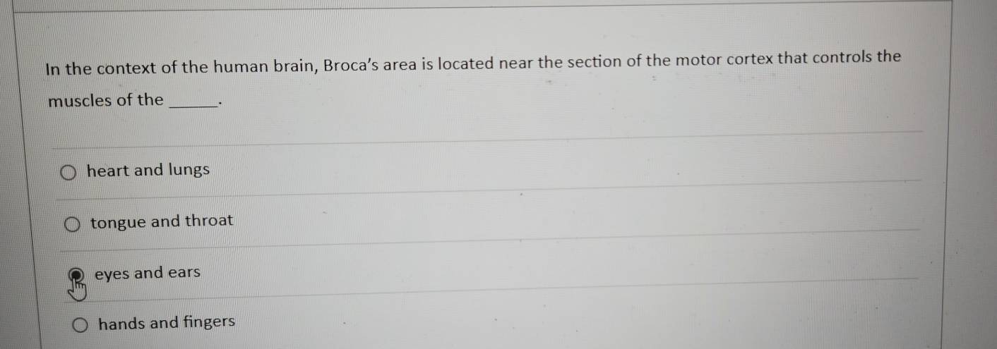 Solved: In the context of the human brain, Broca’s area is located near ...