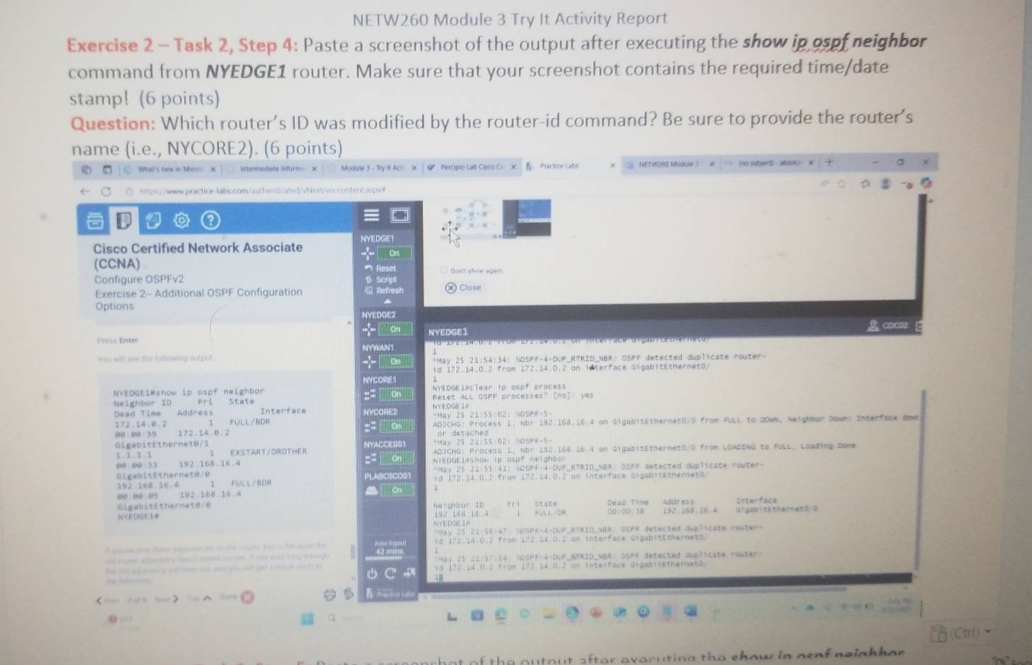Solved: NETW260 Module 3 Try It Activity Report Exercise 2 - Task 2, Step 4: Paste a screenshot ...