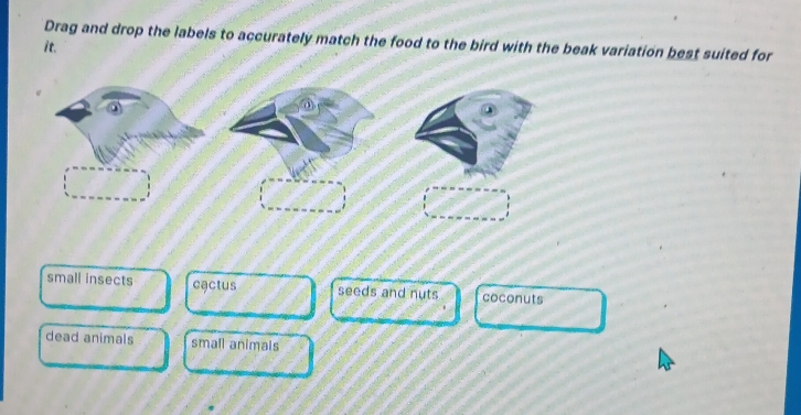 Solved: Drag and drop the labels to accurately match the food to the ...