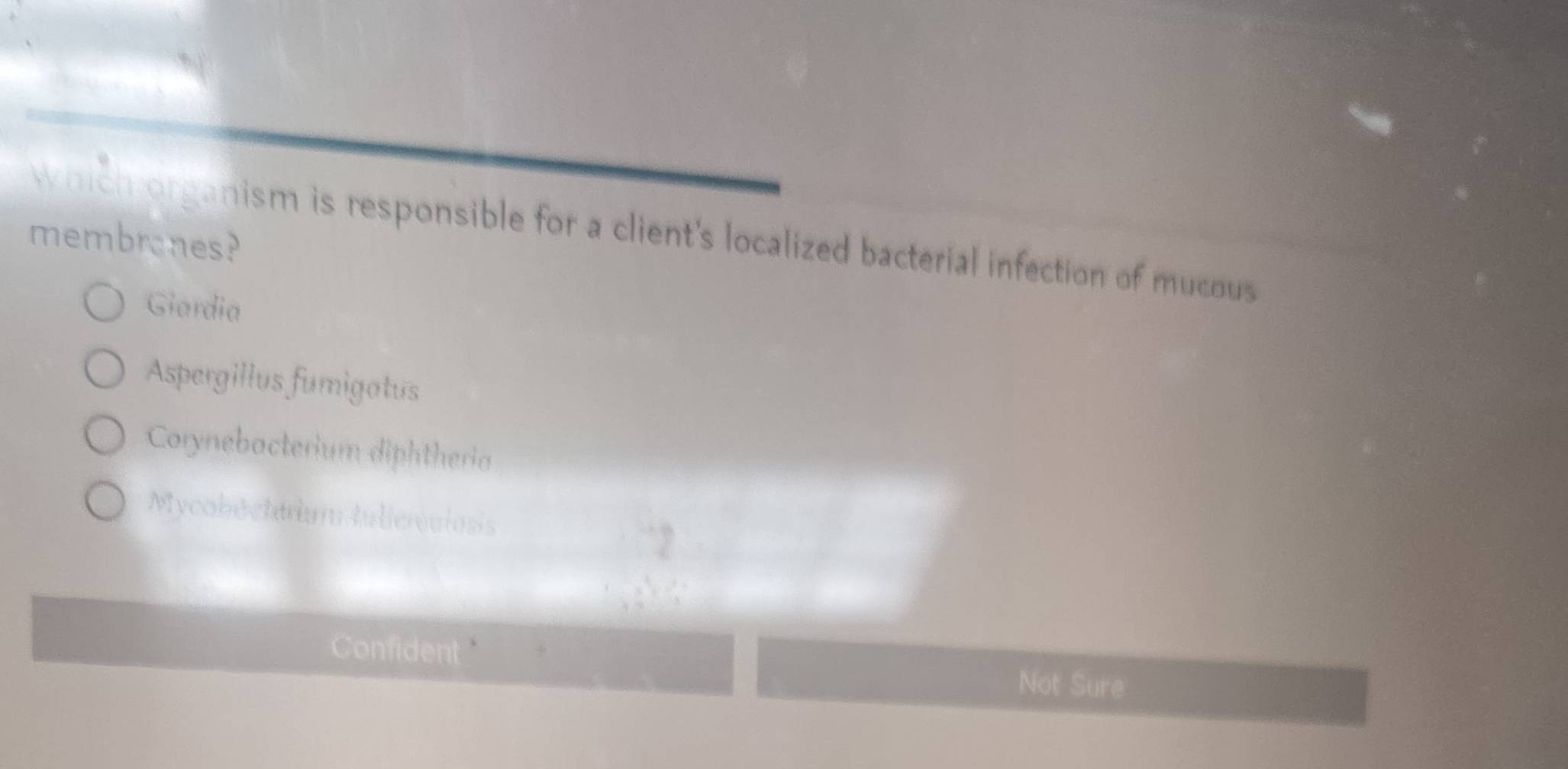 Solved: which organism is responsible for a client's localized ...