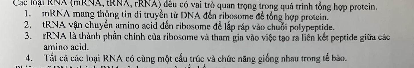 Giải quyết:Các loại RNA (mRNA, tRNA, rRNA) đều có vai trò quan trọng ...