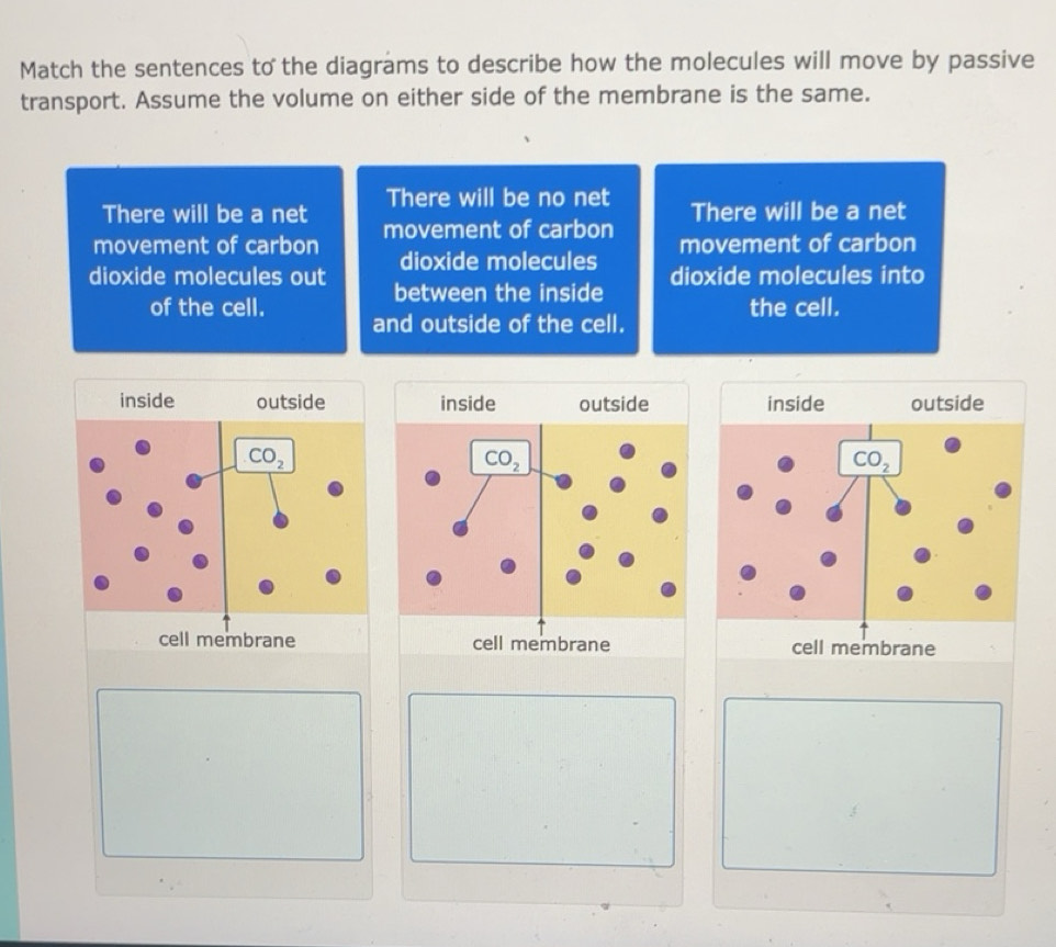 Solved: Match the sentences to the diagrams to describe how the ...