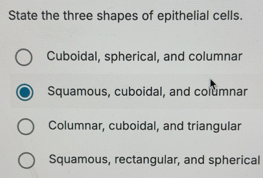 Solved: State the three shapes of epithelial cells. Cuboidal, spherical ...
