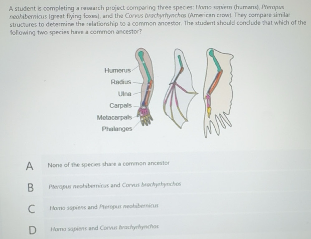 Solved: A student is completing a research project comparing three ...
