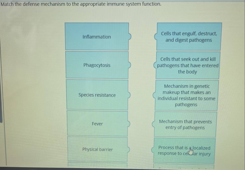 Solved: Match the defense mechanism to the appropriate immune system ...