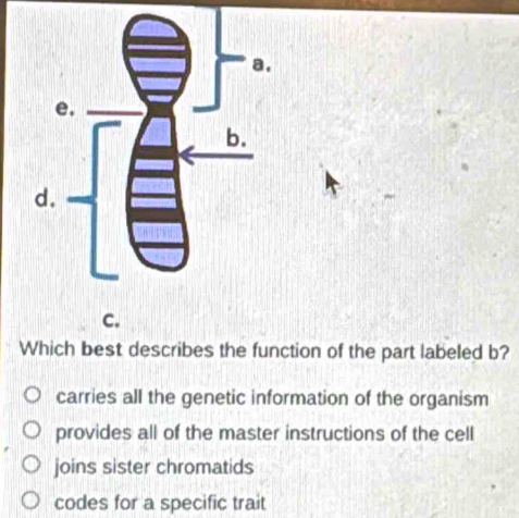 Solved: c. Which best describes the function of the part labeled b ...
