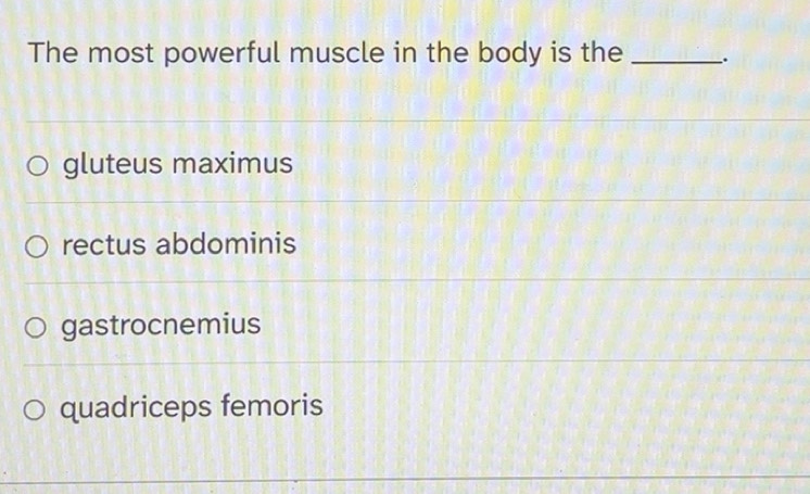 Solved: The most powerful muscle in the body is the _. gluteus maximus ...