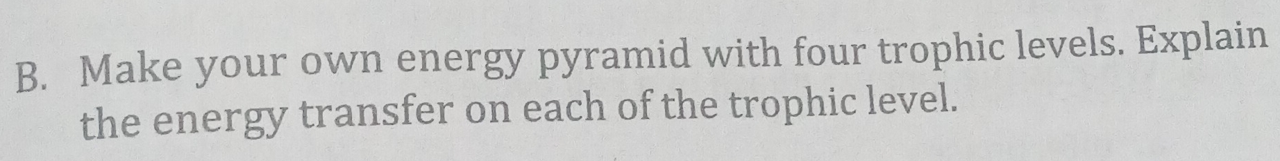 Solved: Make your own energy pyramid with four trophic levels. Explain ...