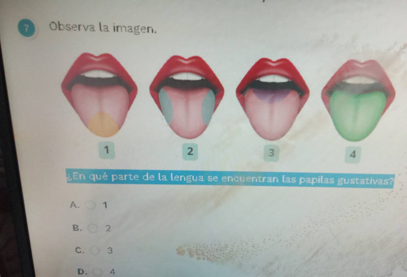 Resuelto:Observa la imagen. 1 2 3 4 ¿En qué parte de la lengua se ...