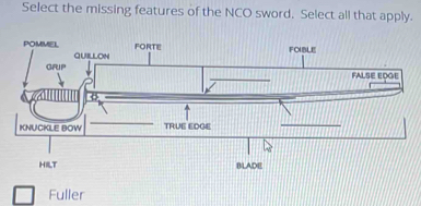 Solved: Select the missing features of the NCO sword. Select all that ...