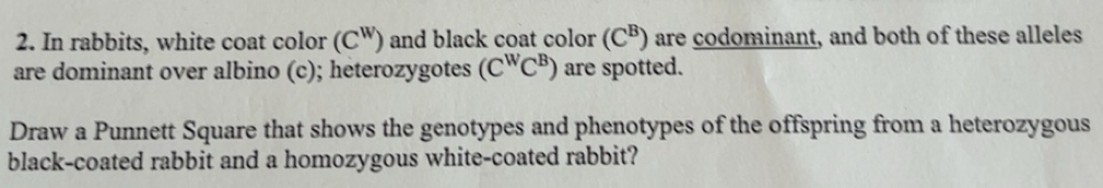 Solved: In rabbits, white coat color (C^W) and black coat color (C^B ...