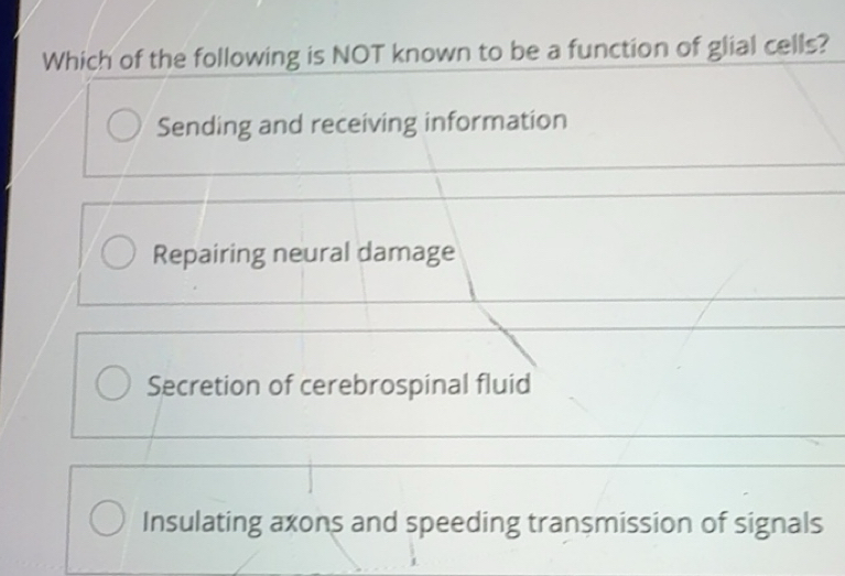 Solved: Which of the following is NOT known to be a function of glial cells? Sending and ...