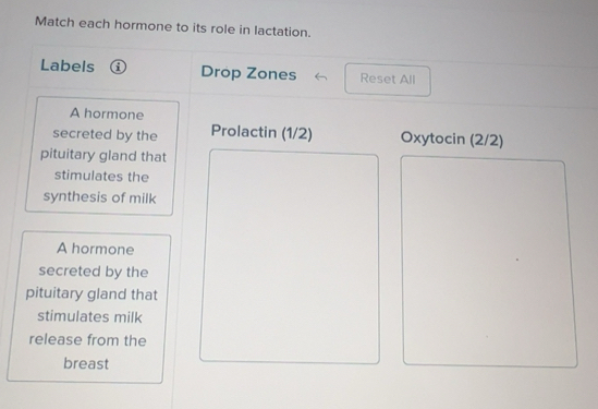 Solved: Match each hormone to its role in lactation. Labels Drop Zones ...