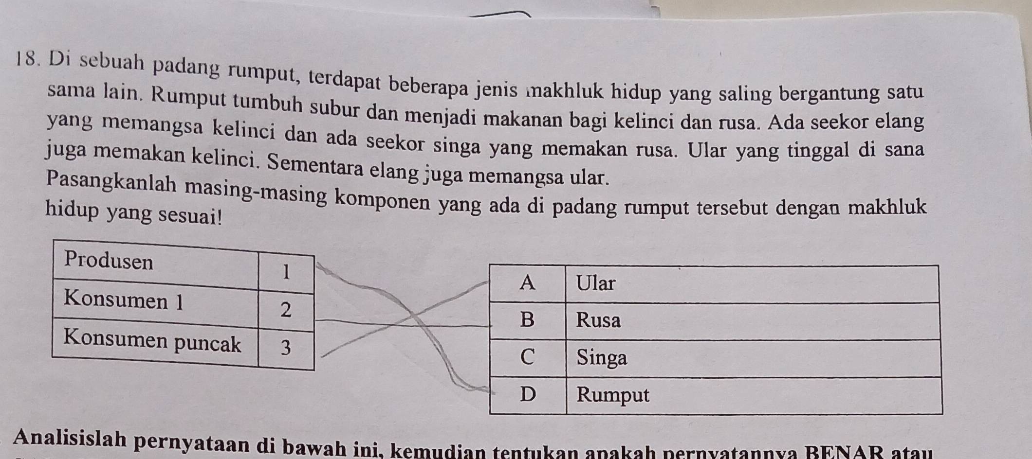 Telah dijawab:Di sebuah padang rumput, terdapat beberapa jenis makhluk ...
