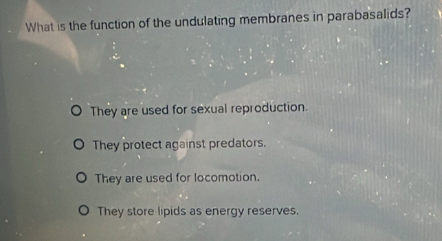 Solved: What is the function of the undulating membranes in ...