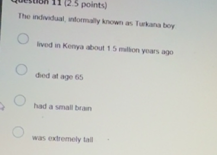 Solved: The individual, informally known as Turkana boy lived in Kenya ...