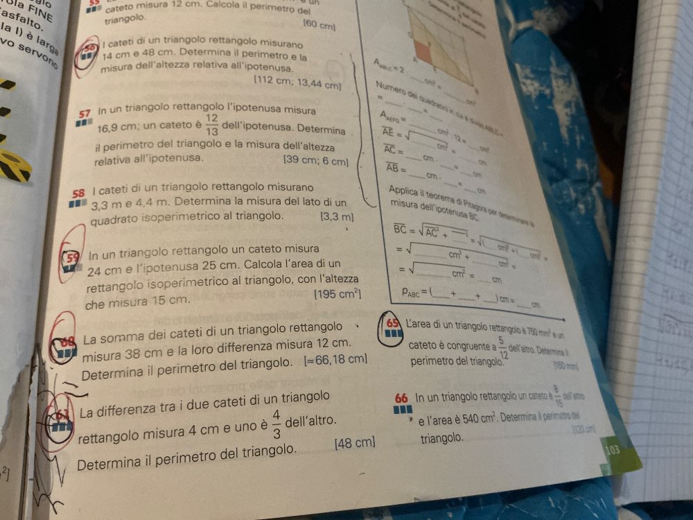 Risolto:cateto misura 12 cm. Calcola il perimetro del Ula FINE ...