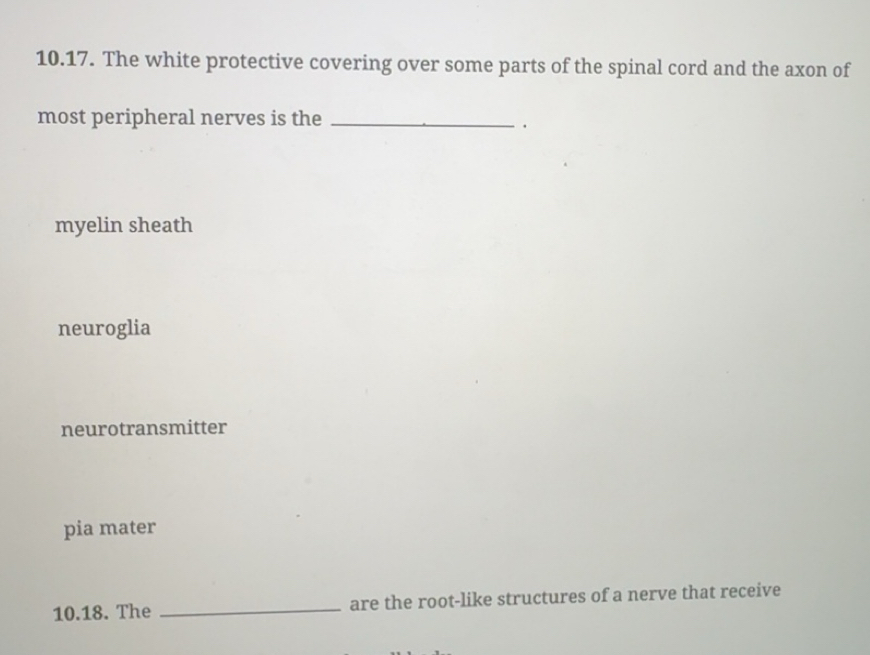 Solved: The white protective covering over some parts of the spinal ...