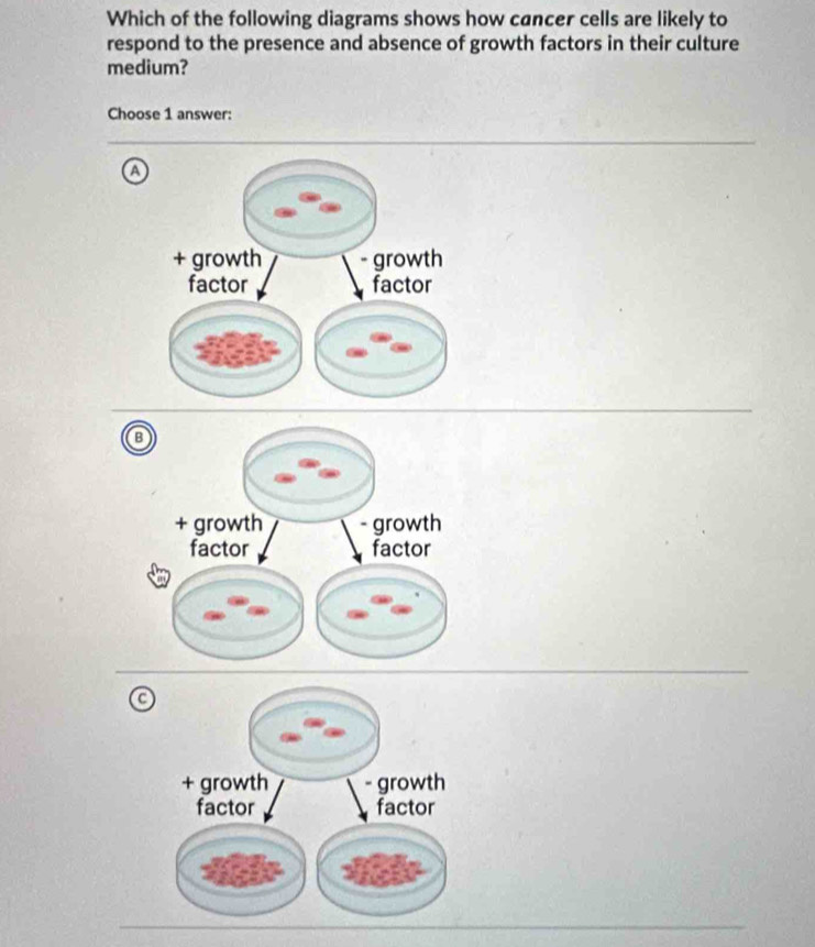 Solved: Which of the following diagrams shows how cancer cells are ...