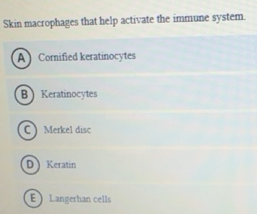 Solved: Skin macrophages that help activate the immune system. A ...