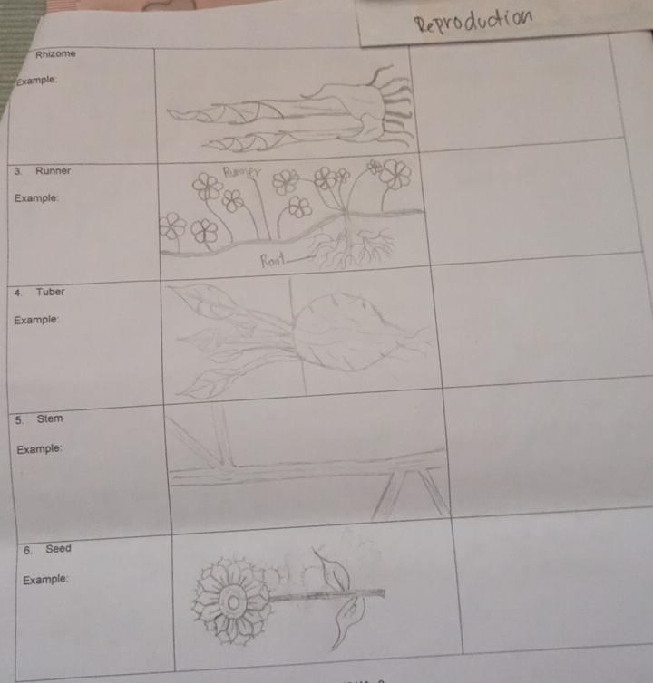 Solved: Exa 3. Exa 4. Exa 5. Exa 6. Ex [Math]