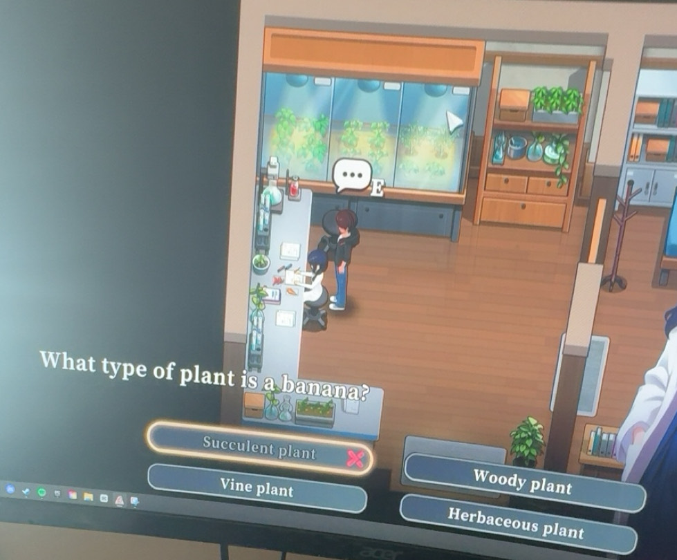 Solved: What type of pla Su eous plant [Biology]