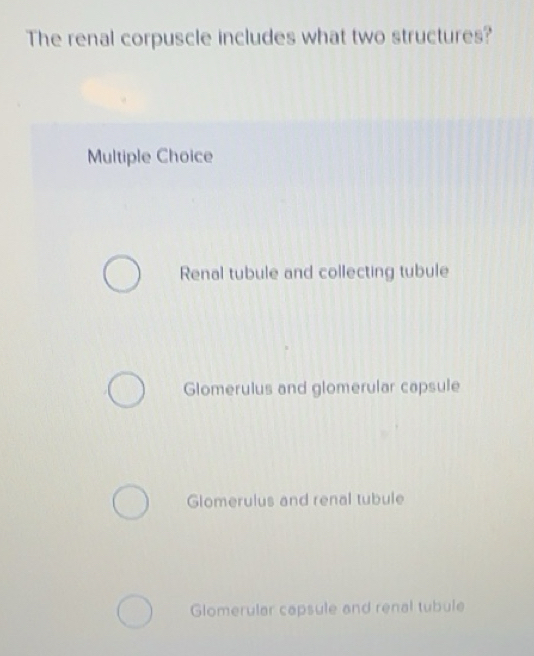 Solved: The renal corpuscle includes what two structures? Multiple Choice Renal tubule and ...